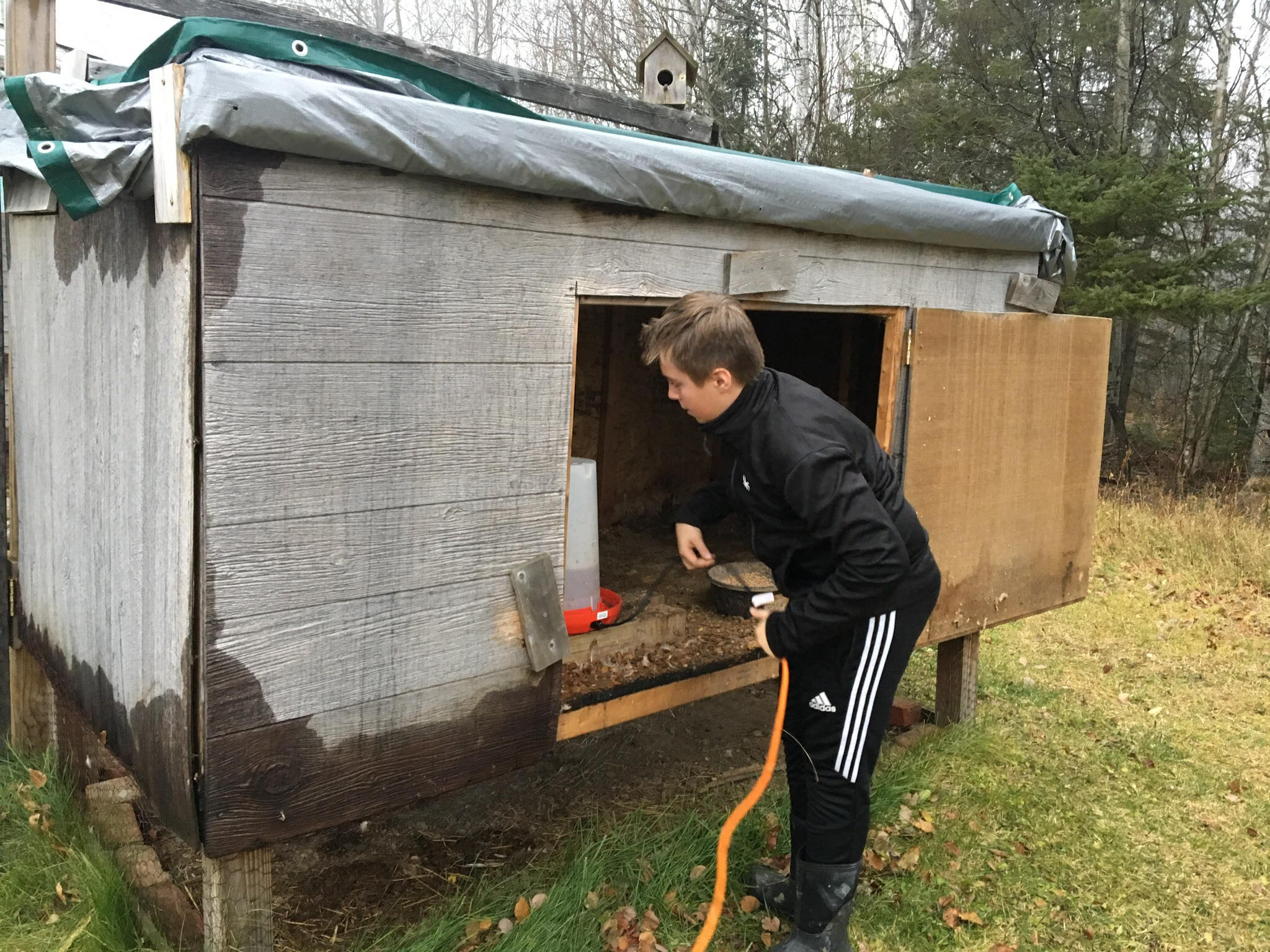 How To Build A Duck Coop Hello Homestead