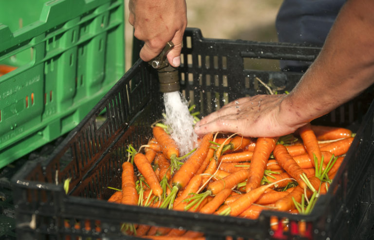 6 farm apprenticeships available for 2019 | Hello Homestead