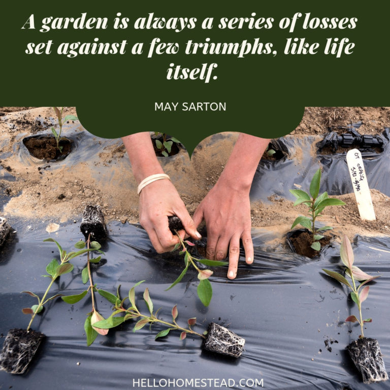 10 gardening quotes that we love | Hello Homestead