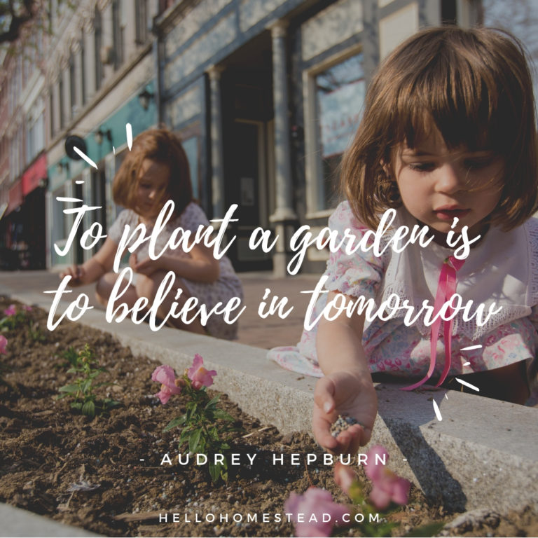 10 gardening quotes that we love | Hello Homestead