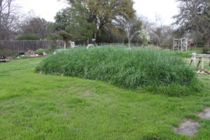 Should you experiment with hugelkultur in your garden? | Hello Homestead