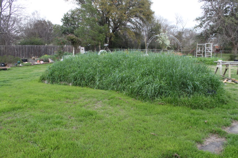 Should you experiment with hugelkultur in your garden? | Hello Homestead