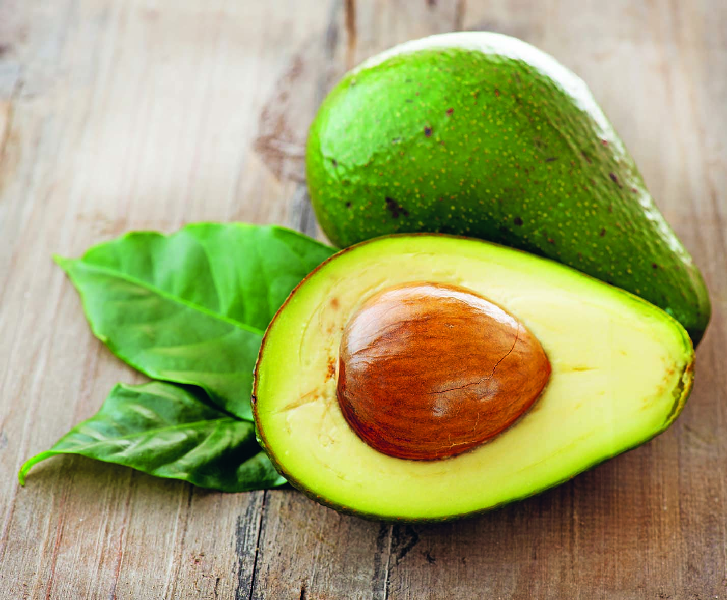 How to grow an avocado tree from an avocado pit | Hello Homestead