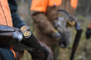 How to get started with bird hunting | Hello Homestead