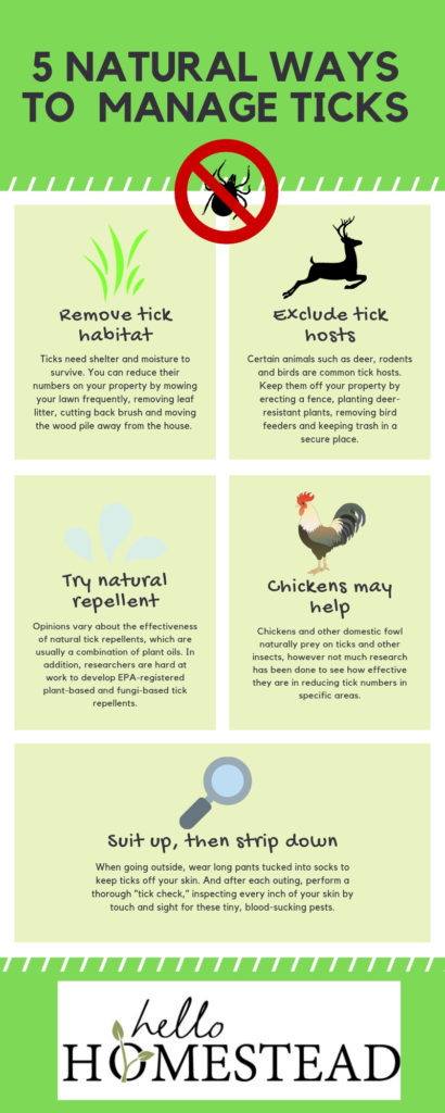 Natural tick repellent and other methods of tick management | Hello ...