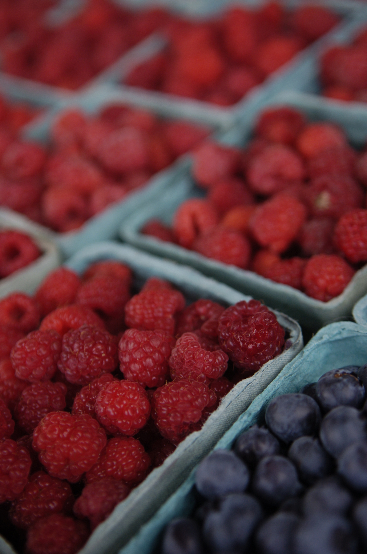 How to preserve Maine’s summer berries for enjoying all year long ...