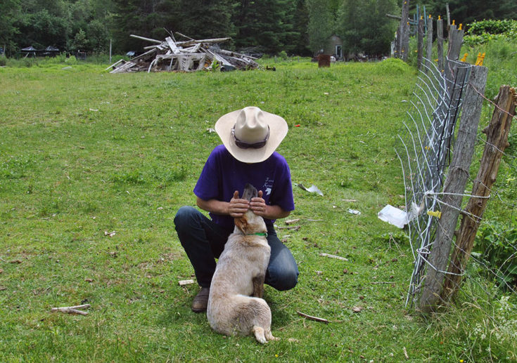 A look inside hobby farm life | Hello Homestead