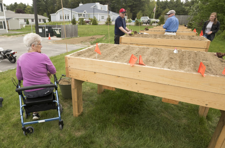 Essential skills for backyard farmers | Hello Homestead