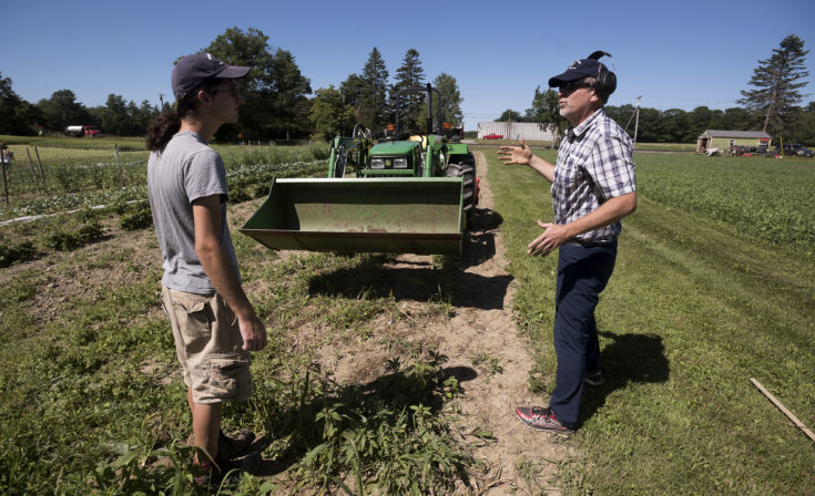 Essential skills for backyard farmers | Hello Homestead