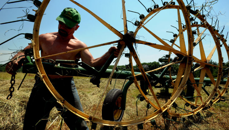 A guide to types of farms | Hello Homestead