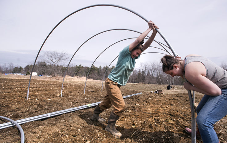 A guide to types of farms | Hello Homestead