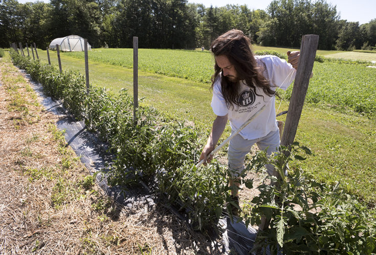 Sustainable farming practices explained | Hello Homestead