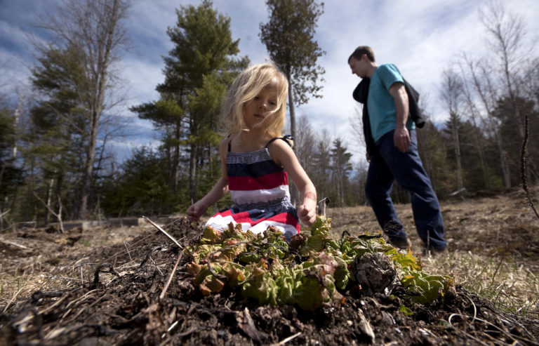 A guide to types of farms | Hello Homestead