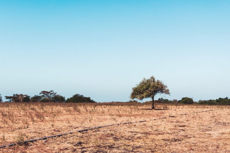 A guide to types of farms | Hello Homestead