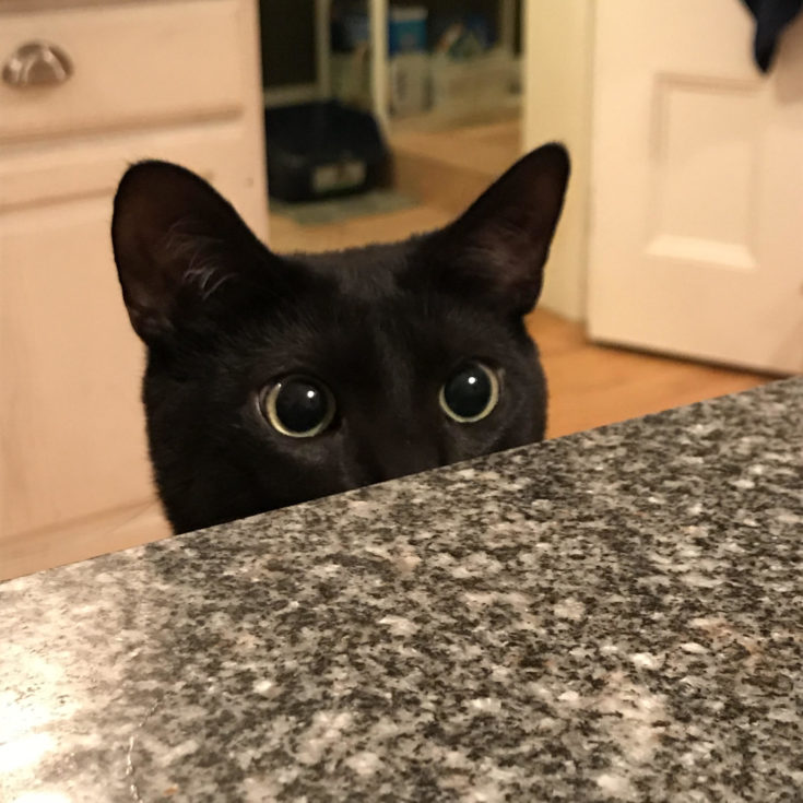 This has become the heart of my home | Hello Homestead