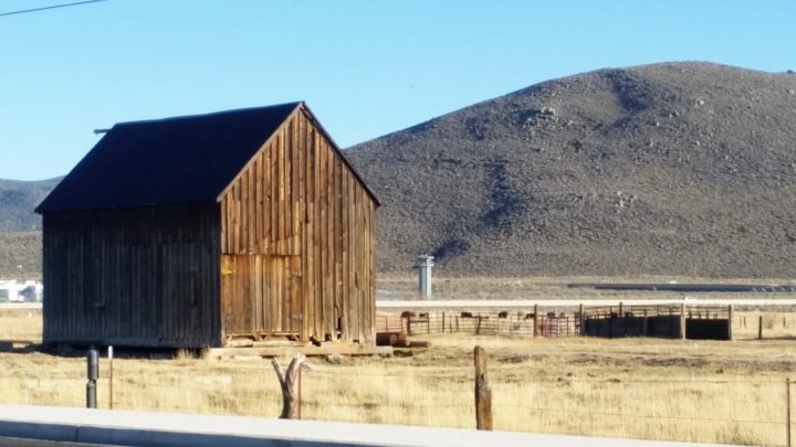 How to start homesteading in Nevada | Hello Homestead