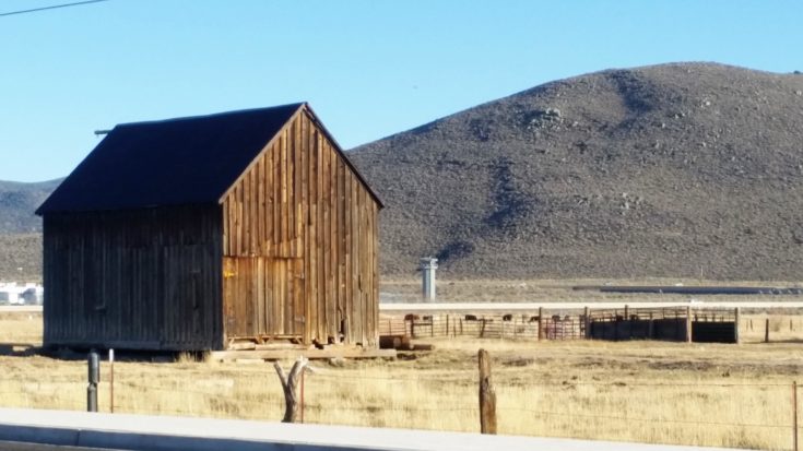 How to start homesteading in Nevada | Hello Homestead
