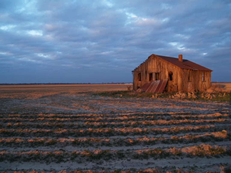 How to start homesteading Mississippi | Hello Homestead