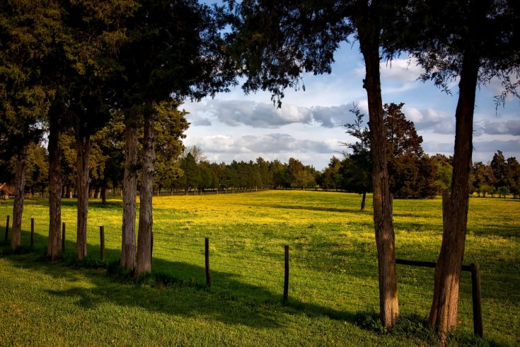 How to start homesteading in Alabama | Hello Homestead