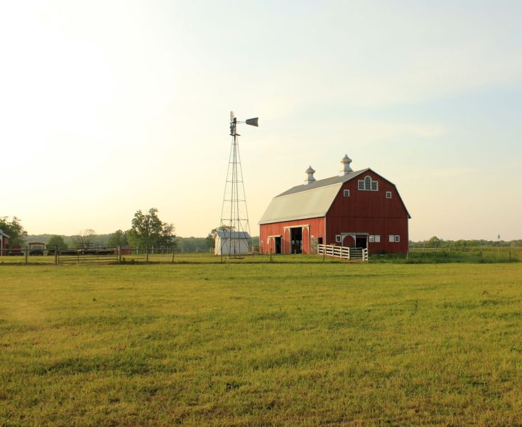 How to start homesteading in Indiana | Hello Homestead