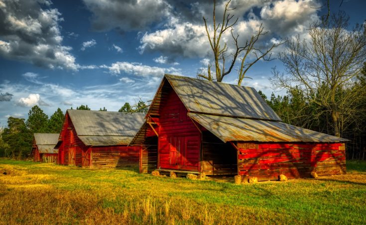How to start homesteading in Georgia | Hello Homestead