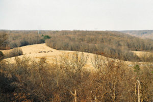 How to start homesteading in Oklahoma | Hello Homestead