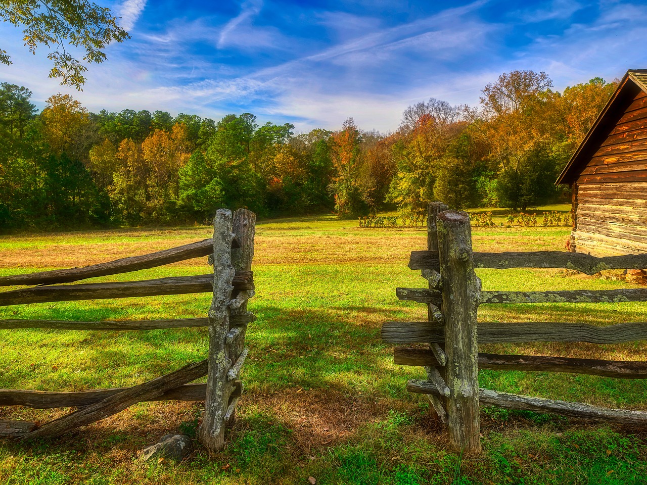 How to start homesteading in North Carolina | Hello Homestead