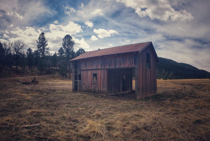 How to start homesteading in New Mexico | Hello Homestead