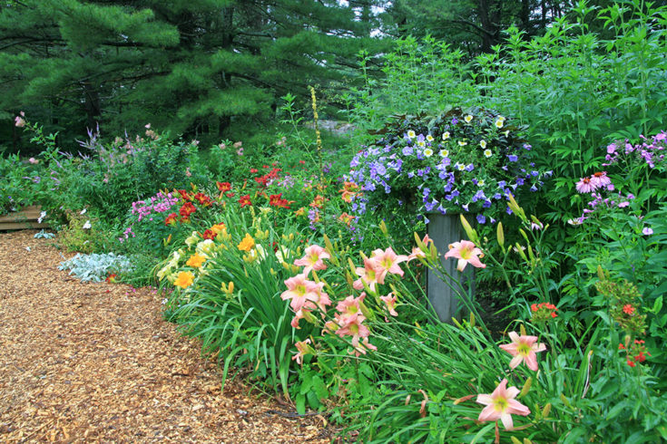 The first steps to fragrant gardening | Hello Homestead