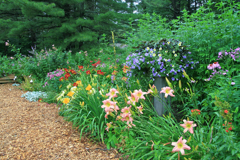 The first steps to fragrant gardening | Hello Homestead