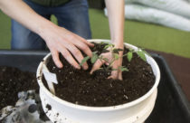 What is micro farming? | Hello Homestead