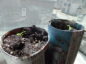 6 ways to make DIY seedling containers to start your plants | Hello ...