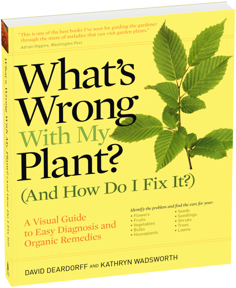 6 gardening books to get you in the mood for growing | Hello Homestead